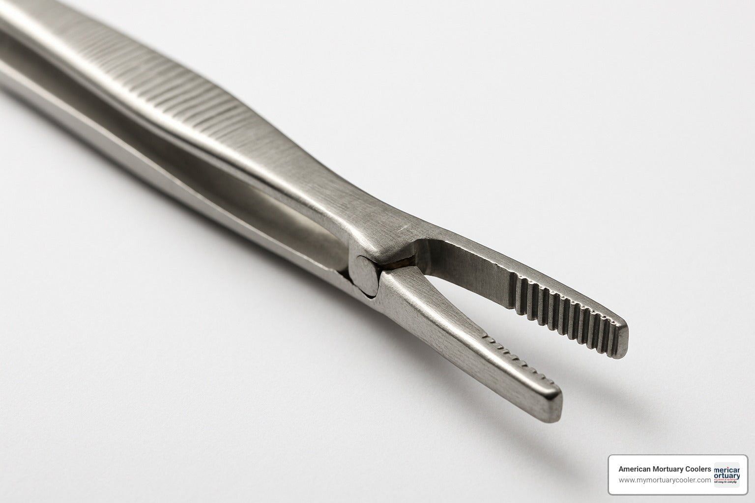 Beginner's Guide to Toothed Forceps – American Mortuary Coolers ...